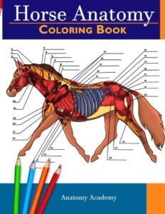 horse anatomy coloring book: incredibly detailed self-test equine anatomy color workbook | perfect gift for veterinary students, horse lovers & adults