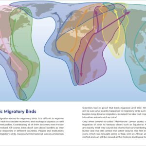 Random Maps: The World in Over 100 Unusual Maps