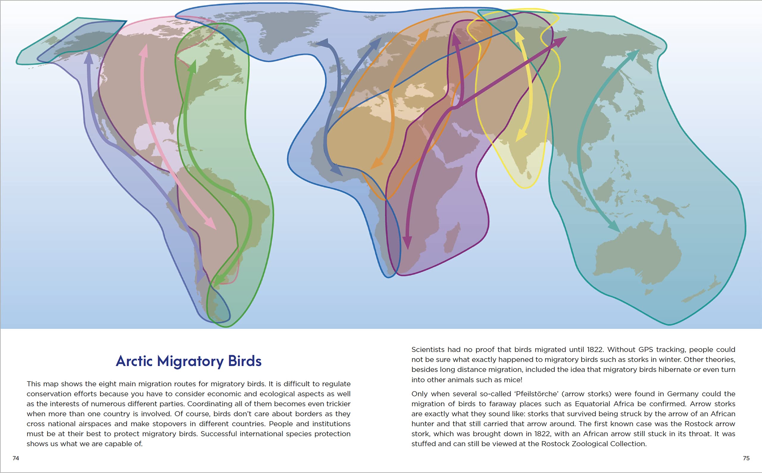 Random Maps: The World in Over 100 Unusual Maps