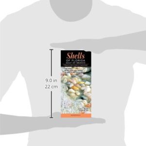 Shells of Florida-Gulf of Mexico: A Beachcomber’s Guide to Coastal Areas