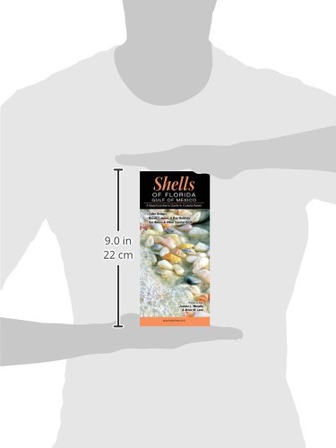 Shells of Florida-Gulf of Mexico: A Beachcomber’s Guide to Coastal Areas