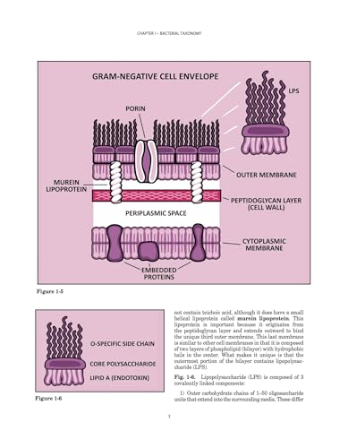 Clinical Microbiology Made Ridiculously Simple: Spiral Bound Color Edition