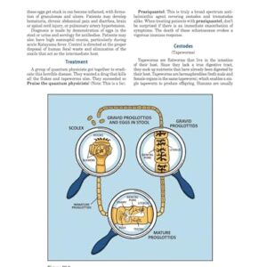 Clinical Microbiology Made Ridiculously Simple: Spiral Bound Color Edition