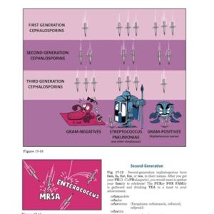 Clinical Microbiology Made Ridiculously Simple: Spiral Bound Color Edition