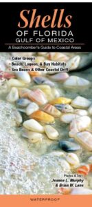 shells of florida-gulf of mexico: a beachcomber’s guide to coastal areas