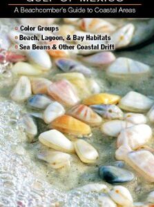 Shells of Florida-Gulf of Mexico: A Beachcomber’s Guide to Coastal Areas