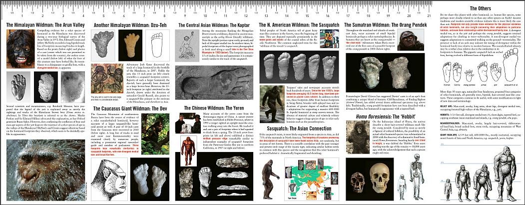 Sasquatch, Yeti and Other Wildmen of the World: A Field Guide to Relict Hominoids, Companion to the Sasquatch Field Guide (English and Telugu Edition)