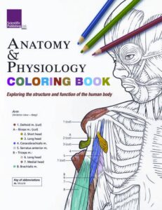 anatomy & physiology coloring book