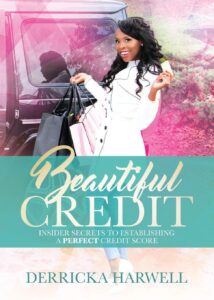 beautiful credit: insider secrets to establishing a perfect credit score