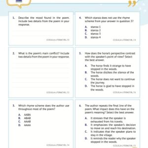 7th Grade Common Core ELA (English Language Arts): Daily Practice Workbook | 300+ Practice Questions and Video Explanations | Common Core State ... Standards Aligned (NGSS) ELA Workbooks)