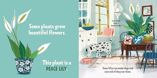 My First Book of Houseplants: Helping Babies and Toddlers Connect to the Natural World from the Intimacy of Home. Promotes a Love for Plants and the Environment. (Terra Babies at Home)