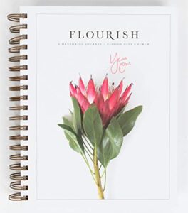 flourish: a mentoring journey - year one