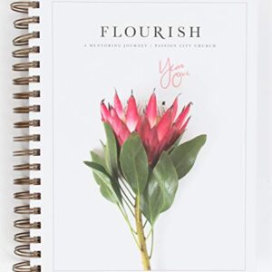 Flourish: A Mentoring Journey - Year One