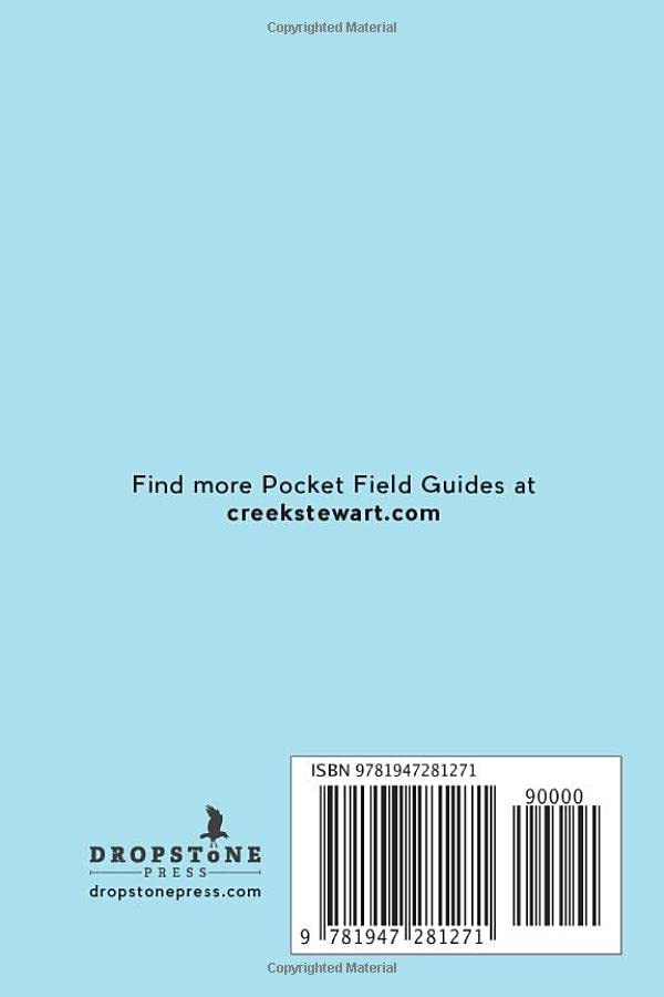 Pocket Field Guide: the QUINZHEE: How to Build a Survival Snow Shelter