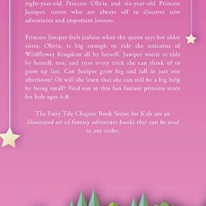 The Princess and the Unicorn: A Fairy Tale Chapter Book Series for Kids