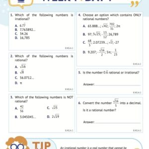 8th Grade Common Core Math: Daily Practice Workbook | 1000+ Practice Questions and Video Explanations | Argo Brothers (Next Generation Learning Standards Aligned (NGSS))