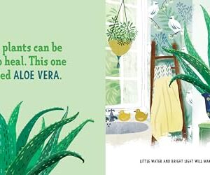 My First Book of Houseplants: Helping Babies and Toddlers Connect to the Natural World from the Intimacy of Home. Promotes a Love for Plants and the Environment. (Terra Babies at Home)