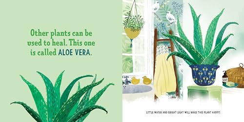 My First Book of Houseplants: Helping Babies and Toddlers Connect to the Natural World from the Intimacy of Home. Promotes a Love for Plants and the Environment. (Terra Babies at Home)