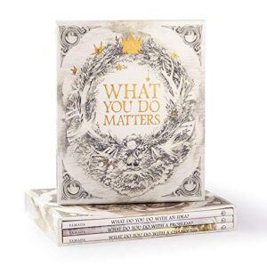 what you do matters boxed set — featuring all three new york times best sellers (what do you do with an idea?, what do you do with a problem?, and what do you do with a chance?)