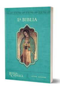 la biblia católica: tamaño grande, edición letra grande. rústica, azul, con virgen