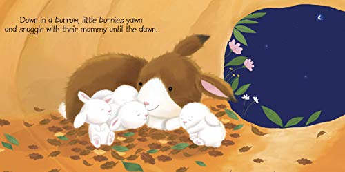 Night, Night to the Animals - Children's Padded Board Book - Bedtime Animals