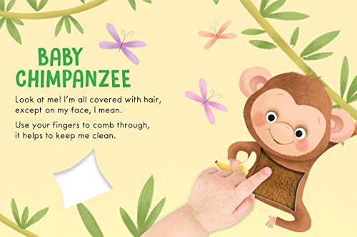 Baby Animals: A Touch and Feel Book - Children's Board Book - Educational