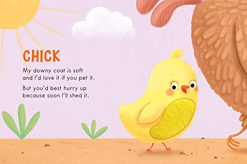 Baby Animals: A Touch and Feel Book - Children's Board Book - Educational