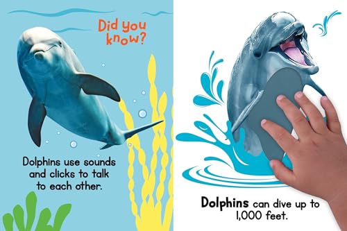 Ocean Friends - Touch and Feel Board Book - Sensory Board Book