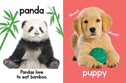 Adorable Animals - Touch and Feel Board Book - Sensory Board Book