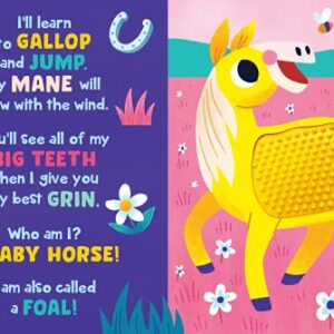 Baby Farm Animals - Silicone Touch and Feel Board Book - Sensory Board Book