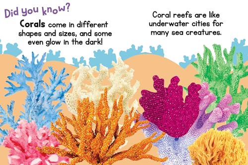 Ocean Friends - Touch and Feel Board Book - Sensory Board Book