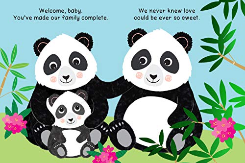 Welcome, Baby - Touch and Feel Board Books - Sensory Board Book