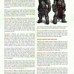 Castles & Crusades Players Handbook, 8th Printing