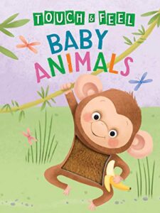 baby animals: a touch and feel book - children's board book - educational