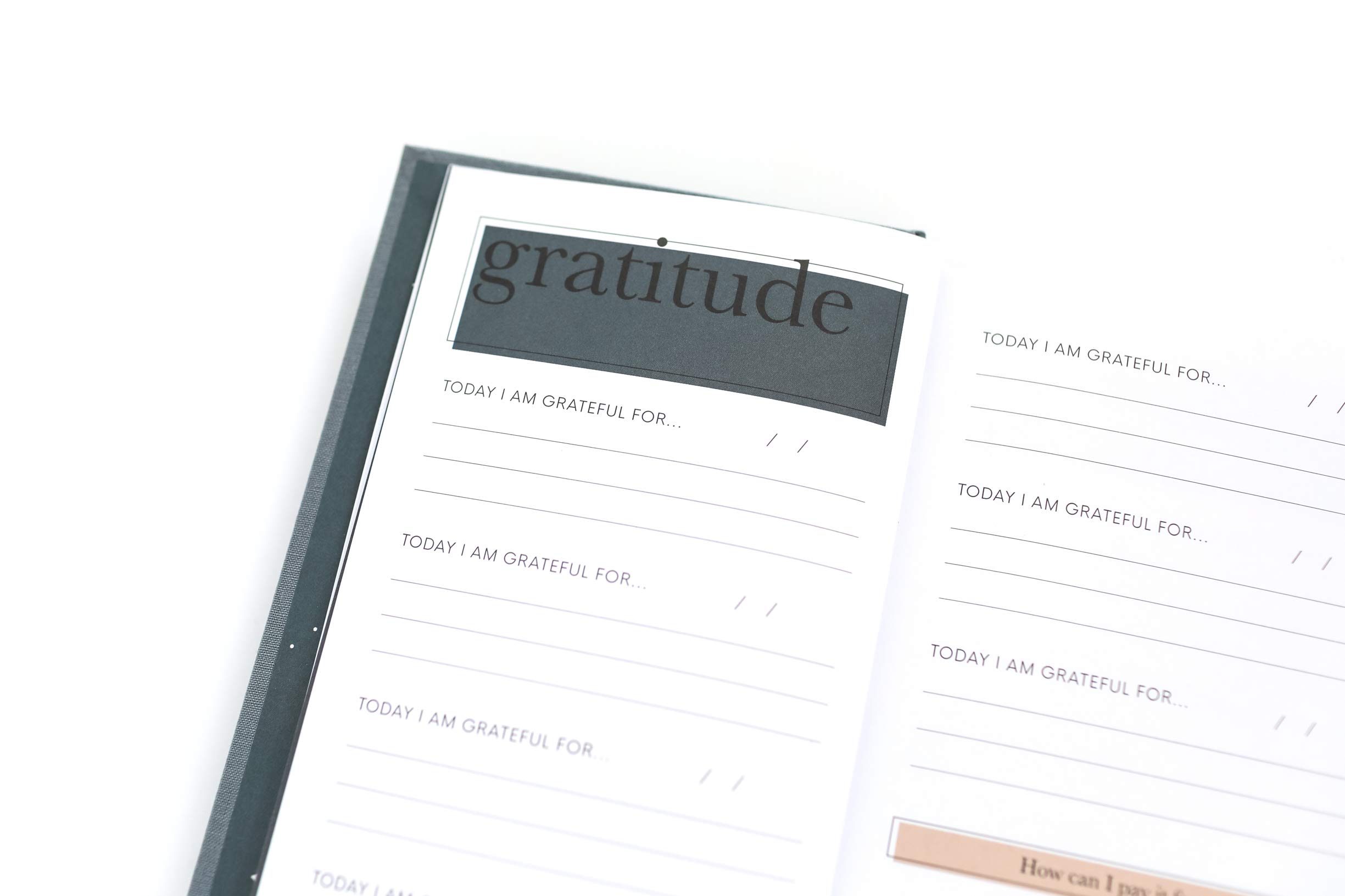 Paper Peony Press Gratitude Journal for Women: A Daily 5 Minute Guide for Mindfulness, Positivity, Affirmation and Self Care (Premium Keepsake Edition)