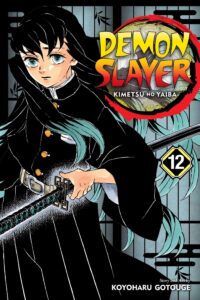 demon slayer: kimetsu no yaiba, vol. 12 (12)