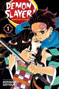 demon slayer: kimetsu no yaiba, vol. 1 (1)