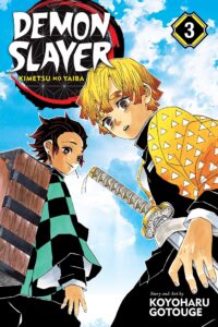 demon slayer: kimetsu no yaiba, vol. 3 (3)