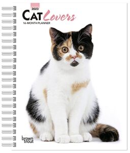 cat lovers | 2023 6 x 7.75 inch spiral-bound wire-o weekly engagement planner calendar | new full-color image every week | browntrout | animals domestic kittens feline