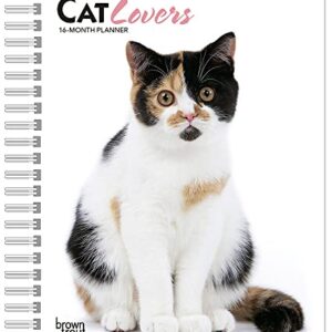 Cat Lovers | 2023 6 x 7.75 Inch Spiral-Bound Wire-O Weekly Engagement Planner Calendar | New Full-Color Image Every Week | BrownTrout | Animals Domestic Kittens Feline