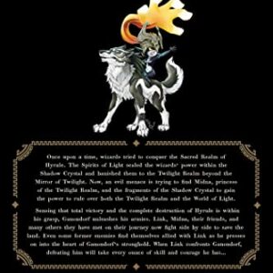 The Legend of Zelda: Twilight Princess, Vol. 10 (10)