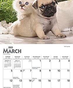 Kittens & Puppies | 2023 7 x 14 Inch Monthly Mini Wall Calendar | BrownTrout | Animals Cute Dogs Cats