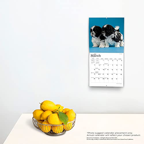 Shih Tzu Puppies | 2023 7 x 14 Inch Monthly Mini Wall Calendar | BrownTrout | Animal Small Dog Breed Puppy DogDays