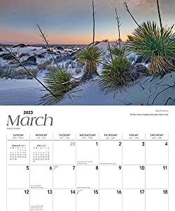 Texas Wild & Scenic | 2023 12 x 24 Inch Monthly Square Wall Calendar | Foil Stamped Cover | BrownTrout | USA United States of America Southwest State Nature