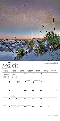 Texas Wild & Scenic | 2023 12 x 24 Inch Monthly Square Wall Calendar | Foil Stamped Cover | BrownTrout | USA United States of America Southwest State Nature