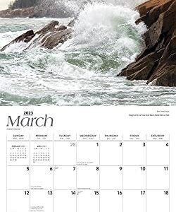 Maine Coast | 2023 12 x 24 Inch Monthly Square Wall Calendar | BrownTrout | USA United States of America Northeast State Ocean Sea Nature