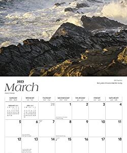 Oregon Coast | 2023 12 x 24 Inch Monthly Square Wall Calendar | Foil Stamped Cover | BrownTrout | USA United States of America Pacific West State Ocean Sea Nature