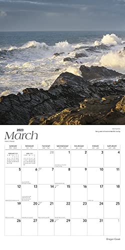 Oregon Coast | 2023 12 x 24 Inch Monthly Square Wall Calendar | Foil Stamped Cover | BrownTrout | USA United States of America Pacific West State Ocean Sea Nature