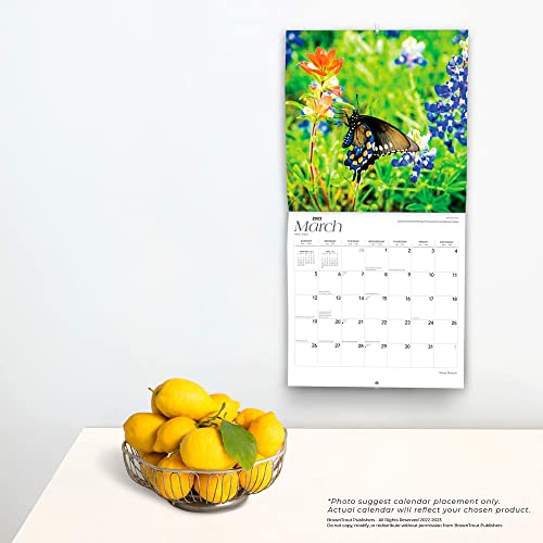 Texas Nature | 2023 12 x 24 Inch Monthly Square Wall Calendar | Foil Stamped Cover | BrownTrout | USA United States of America Southwest State Wilderness