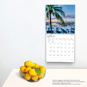 Florida Coast | 2023 12 x 24 Inch Monthly Square Wall Calendar | Foil Stamped Cover | BrownTrout | USA United States of America Southeast State Nature